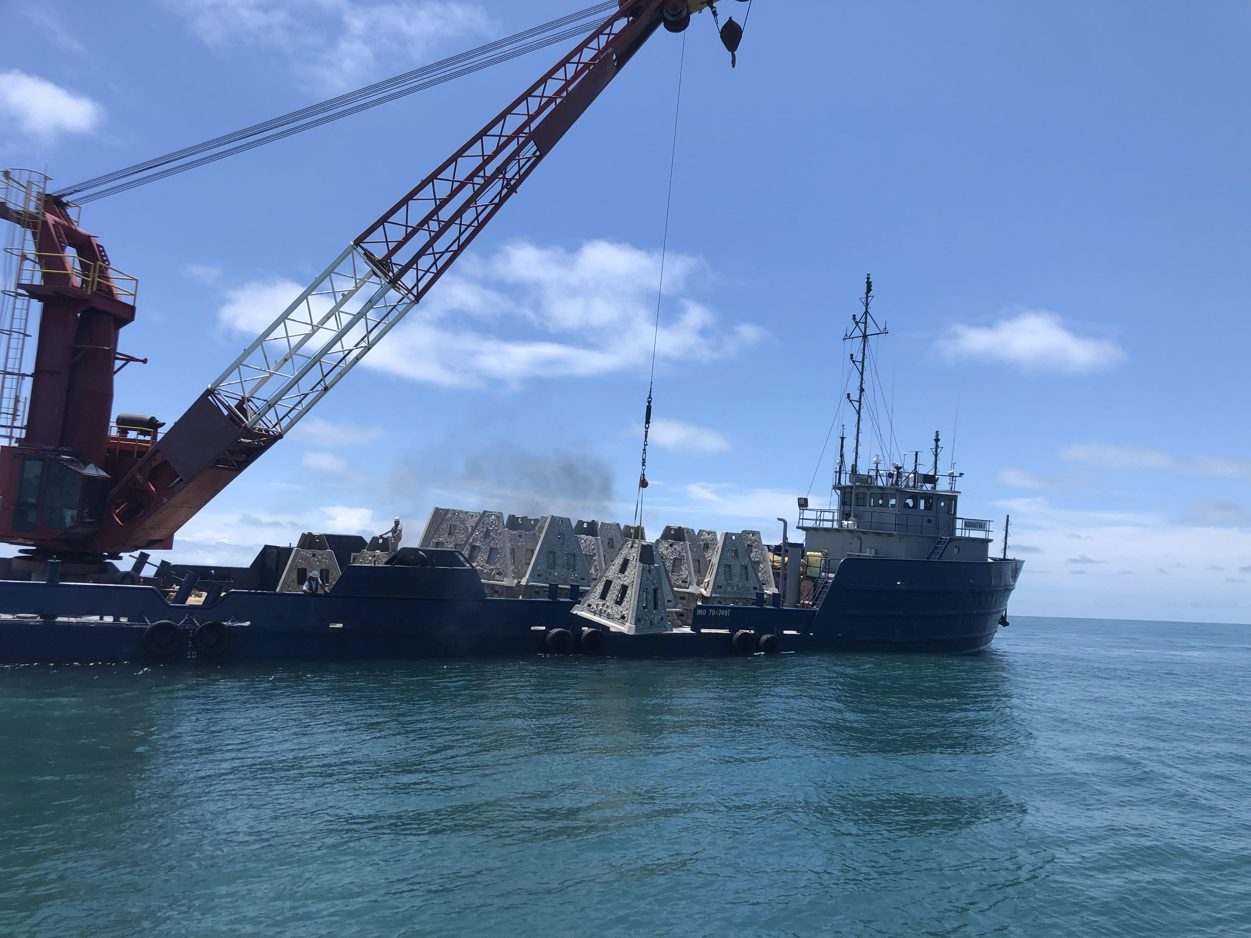 Apalachicola Artificial Reef Association (AARA) | Apalachicola, Florida